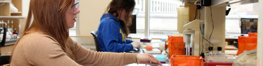 Trainee Resources | Center for Aging and Population Health