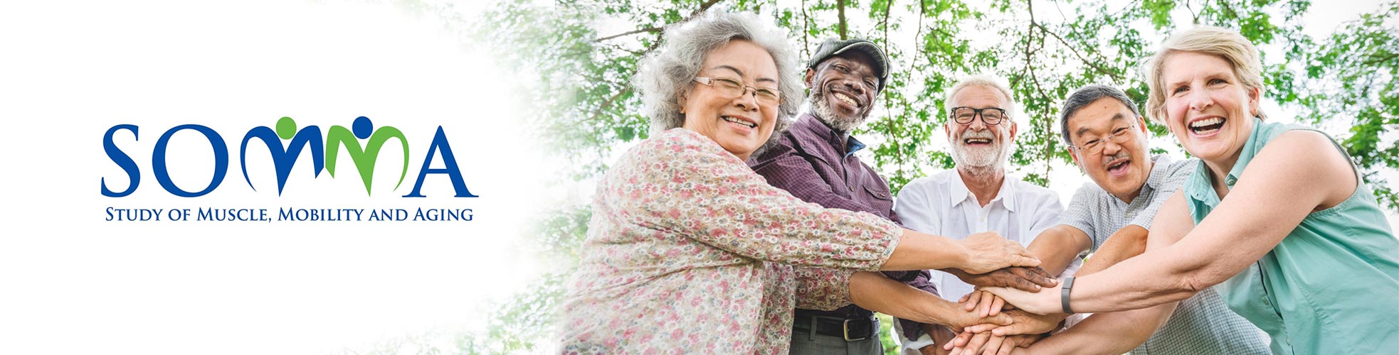 SOMMA Study | Center for Aging and Population Health